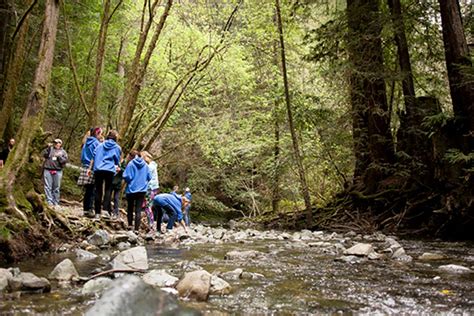 Summer Camps Alliance Redwoods Conference Grounds
