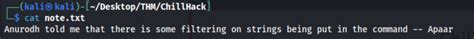 Tryhackme Chill Hack Detailed Writeup Polygonben