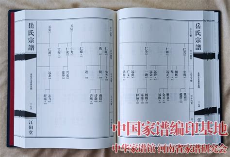 岳氏宗谱（震祖支蜀渝黔子忠公后裔世系） 家谱编印基地
