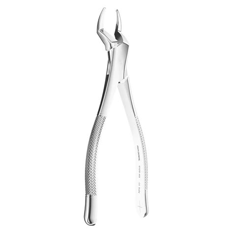 Extracting Forceps American N 65