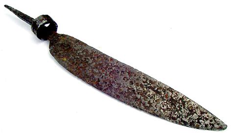 Metal Detecting With Minelab Explorer