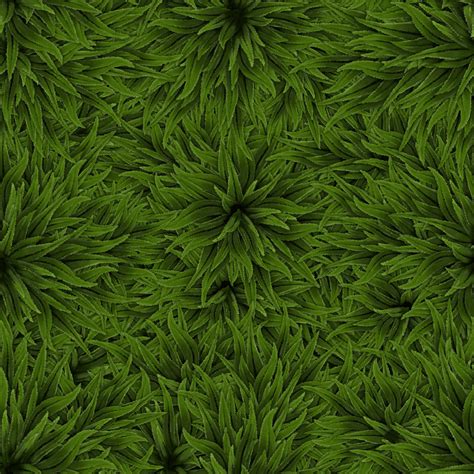 Grass Texture Seamless