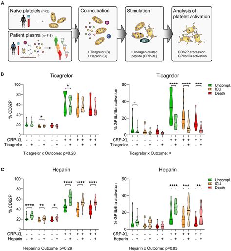 Plasma Mediated Reduced Platelet Gpiibiiia Activation Is Download