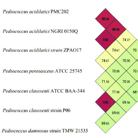 Orthoani Results Calculated From Available Genomes Of Pediococcus