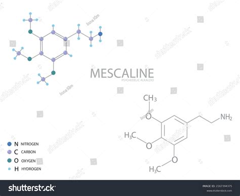 Mescaline Molecular Skeletal 3d Chemical Formula Stock Vector Royalty