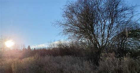 Springtime In Virginia Album On Imgur