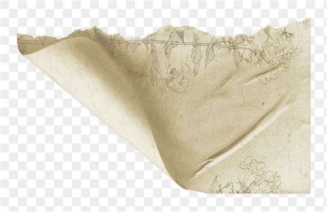 Wrinkled Ripped Paper Sticker
