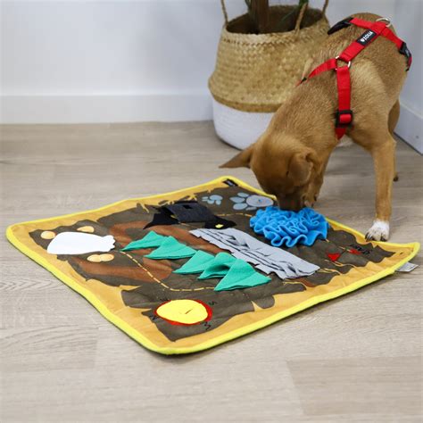 Zolia Sparrow Treasure Map Snuffle Mat For Dogs