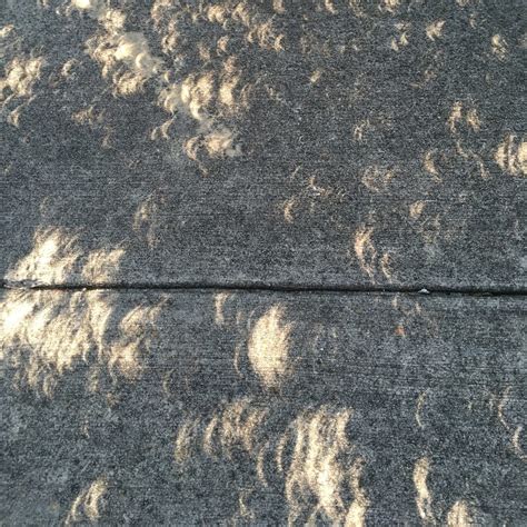 Total Solar Eclipse 2024 What Are Shadow Bands