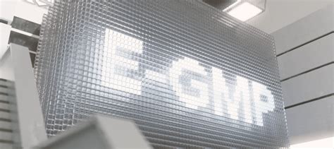 Hyundai Motor Groups E Gmp Architecture Explained Ev Pulse