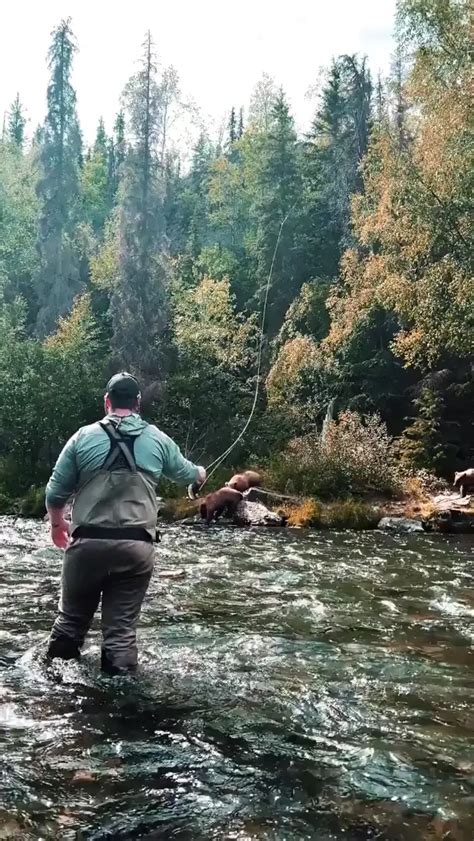 There No Way Momma Bear Is Far Behind Is This As Dangerous As It Feels Scrolller