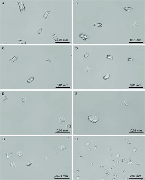 Light Micrographs Of Caox Crystals Grown In The Absence And Presence Of Download Scientific