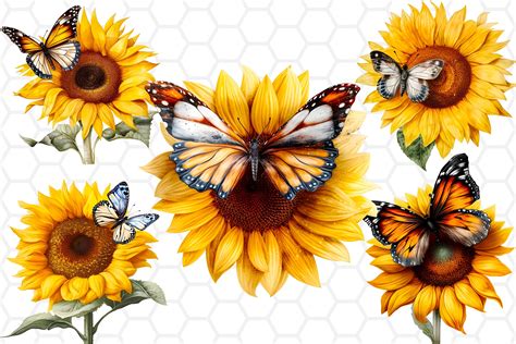 Sunflower And Butterfly Clip Art Rustic Sunflower Wall Art
