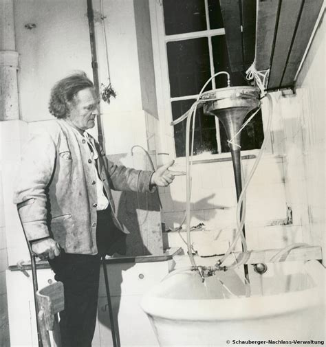 Funnel Schauberger Original