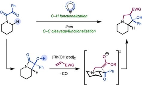 Publications Roque Lab