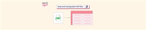 Read Csv File In Python Pandas Scaler Topics