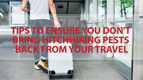 Tips To Ensure You Dont Bring Hitchhiking Pests Back From Your Travel