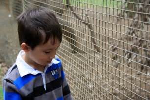 First Assignment 15 Photos That We Like Through My Eyes