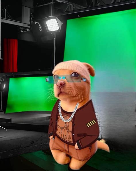 Gobby The Next Big Meme Coin