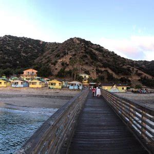 Catalina Island Marine Institute 36 Photos And 24 Reviews Summer