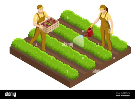 Berry Picking Patch Stock Vector Images Alamy