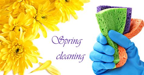 One Off And Spring Cleaning Vip Cleaning Services London From
