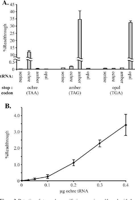 Figure 3 From The Effect Of Eukaryotic Release Factor Depletion On Translation Termination In