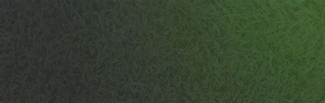 Grass Header Background Phillips Landscapes