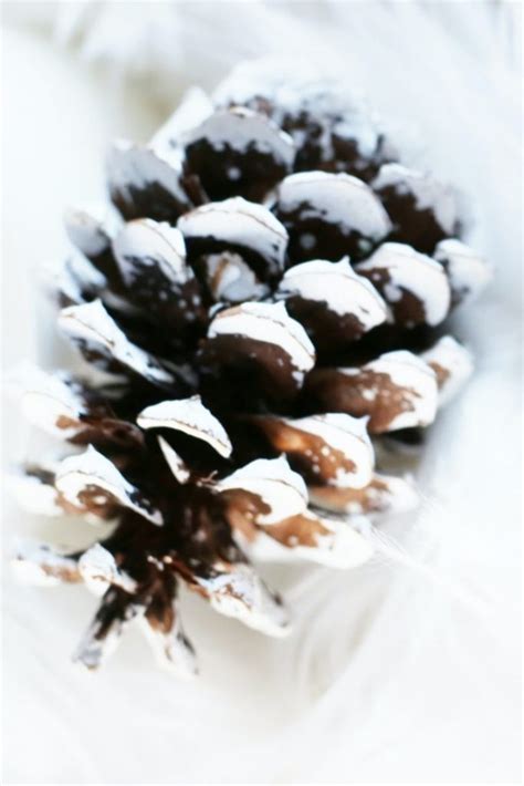 Simple Cozy Winter Decor Ideas Now Everyday Edits