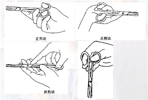 最全：外科手术的基本功，别怪我没告诉你！ 德医医学 助力医学教育发展！