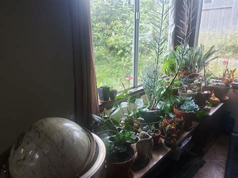 Oh God Theyre Multiplying Rplants Oh God Theyre Multiplying Rplants