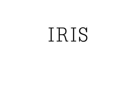 Home Iris Intelligent Reporting Software