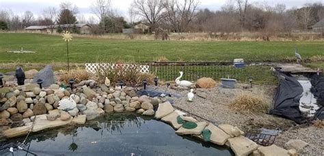 Wisdom 1 Qt Tc Flowable Insecticide At Tractor Supply Co