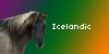 Icelandic Trotter Deviantart