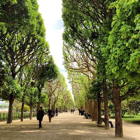 Photo Prise Au Jardin Des Plantes Par Anna C Le592013 Jardin Du