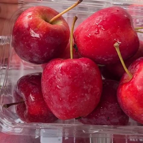 Candy Apples Appel Apel Candyappel Apelcandy Apelmini Apelenak Apelmanis Apelsegar