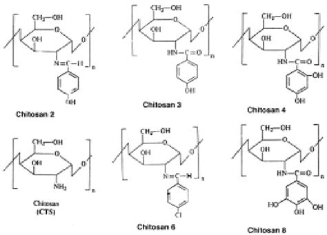 Chemical Structure Of Modified Chitosan And Chitosan Download