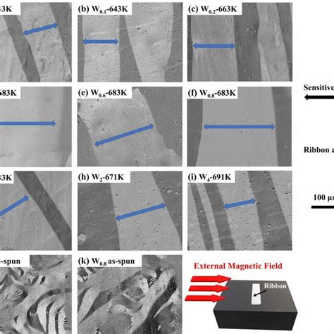 Bs Left And Dos And Pdos Right Of Bulk Wo3 Download Scientific