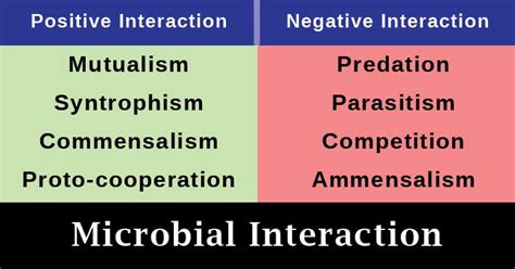 Microbial Interaction And Its Types With Examples