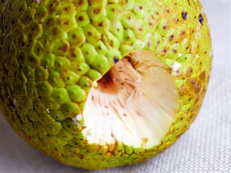 Roasted And Fried Breadfruit The Sophisticated Caveman