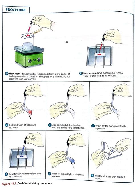 Acid Fast Staining Procedure Ziehl Neelsen Stain Introduction
