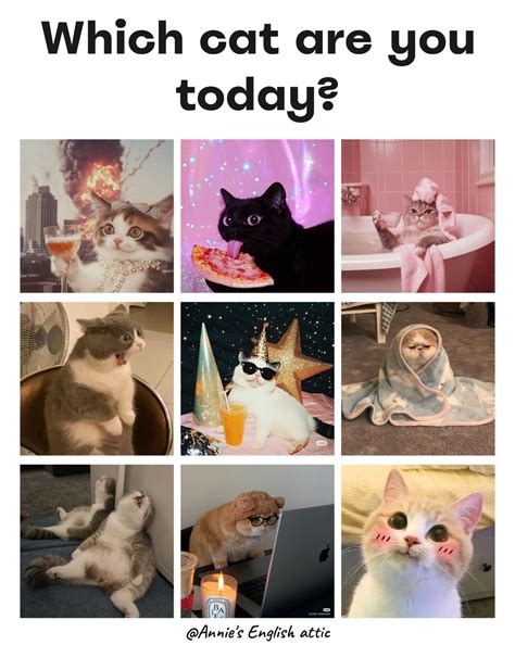 Whats Your Mood How Are You Feeling Today Choose Your Mood