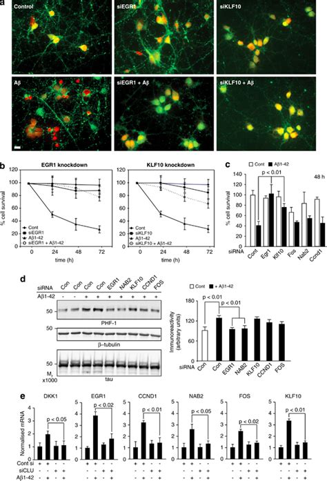 Egr1 Early Growth Response 1 Klf10 Krüppel Like Factor 10 And Nab2 Download Scientific