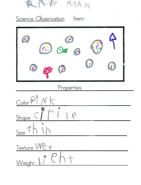 Joyful Learning In Kc Science Observation Sheet