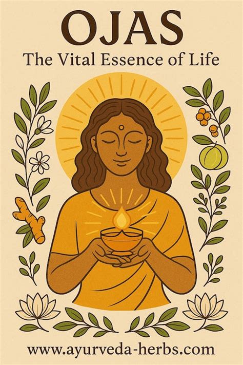Cultivate Ojas Ayurvedic Vital Essence For Immunity Ayurvedic Rasayanas