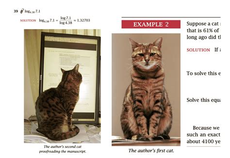 The Math Textbook With Cat Pictures Abakcus