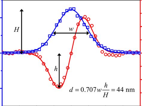 Color Online Spatial Profiles Of The Total Electron Density N N ↑