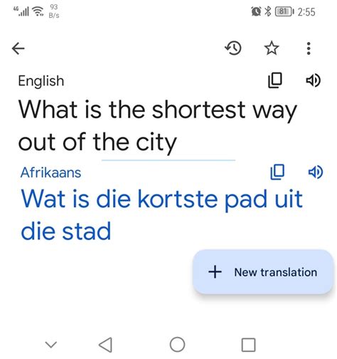 How To Use Google Translate Offline IT Experts
