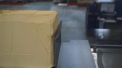 Stainless Steel Butter Block Cutting Machine Model Name Number Slp At Rs 7000000 In Chennai