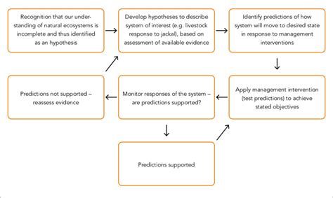 A Simplified Schematic Of Adaptive Management With The Definition Download Scientific